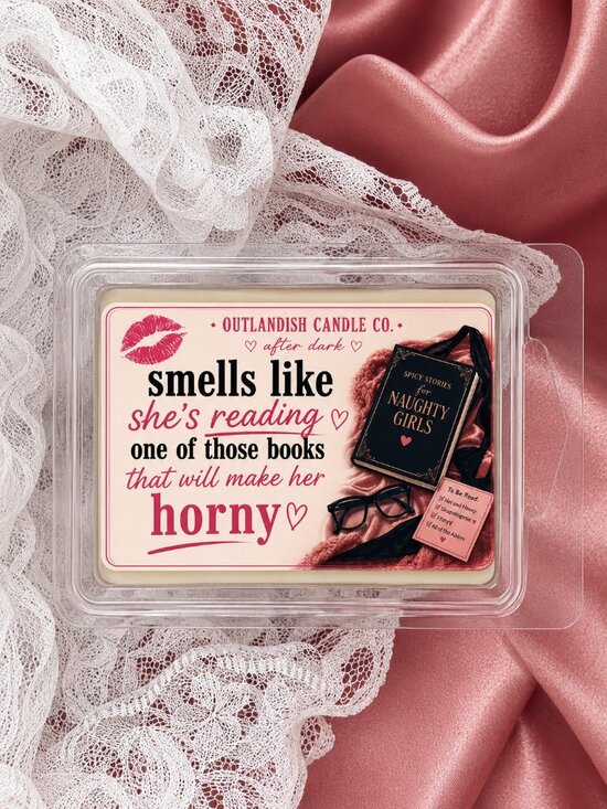 Handmade | Accents | 3 Packs Of Funny Wax Melts Reading Makes Her Horny ...
